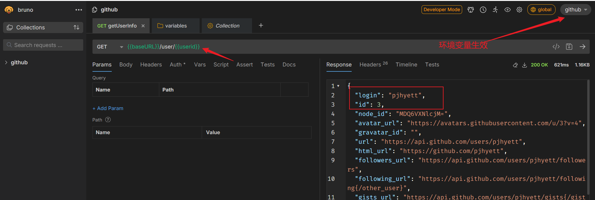 可以抛弃postman啦, API测试工具Bruno实用教程(二)：进阶篇